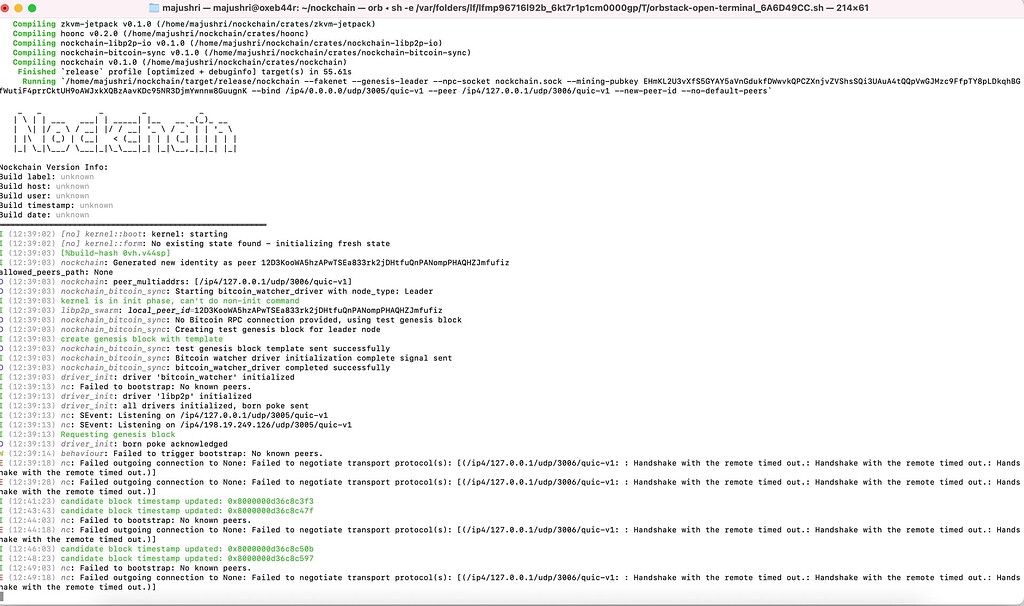 I run code:make run-nockchain-leader. If such an interface appears ...