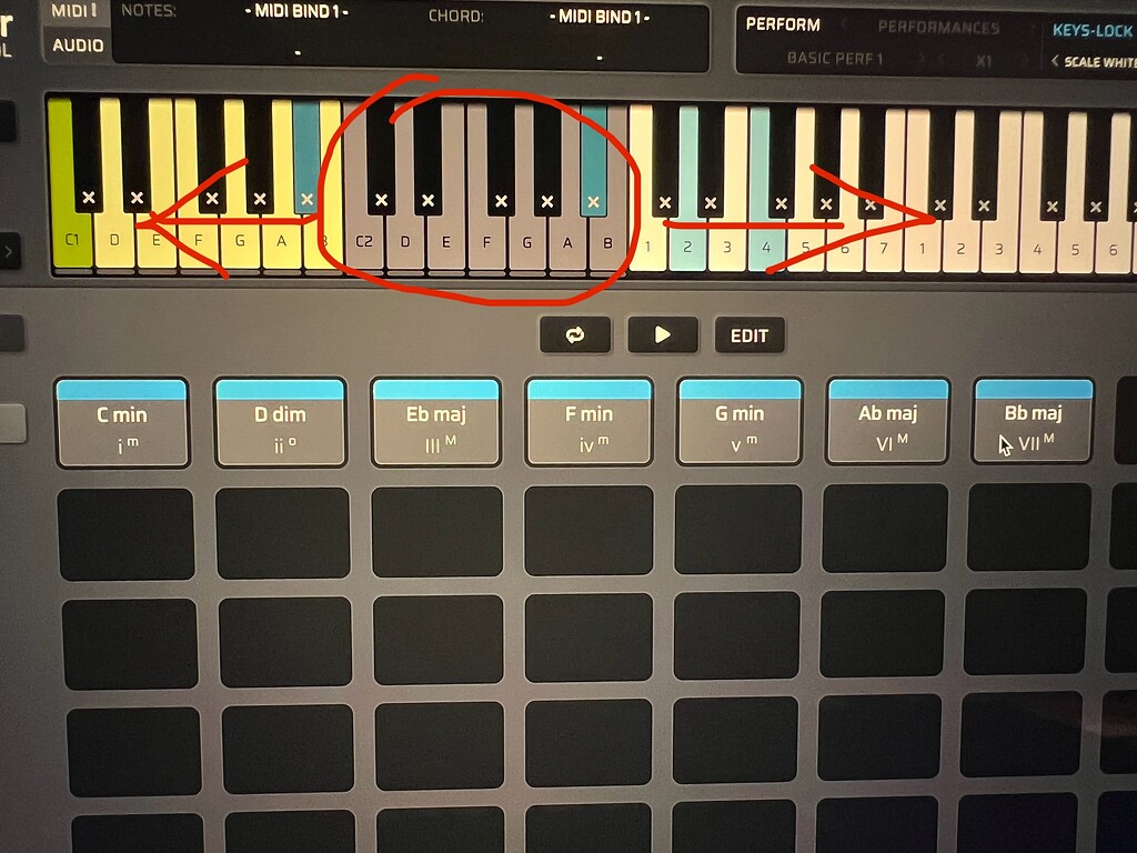 How to play chords triggers with voice grouping on in multiple octaves? - Scaler 2 General ...