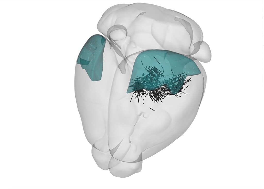 Plotting the visual Neuropixel coordinates in CCF: problem with ...