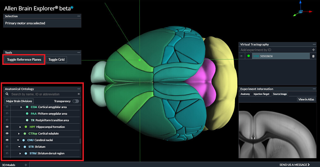 Allen Brain Explorer (Beta) User Guide - Allen Brain Explorer - Allen ...