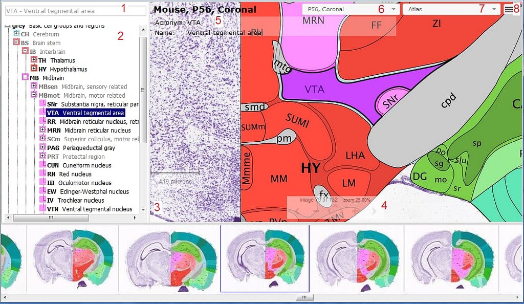 Reference Atlas Viewing Tools - Reference Atlases - Allen Brain Map ...