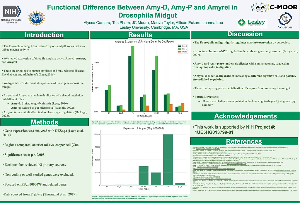 POSTER: Differential Expression of Amylase Genes in the Drosophila ...