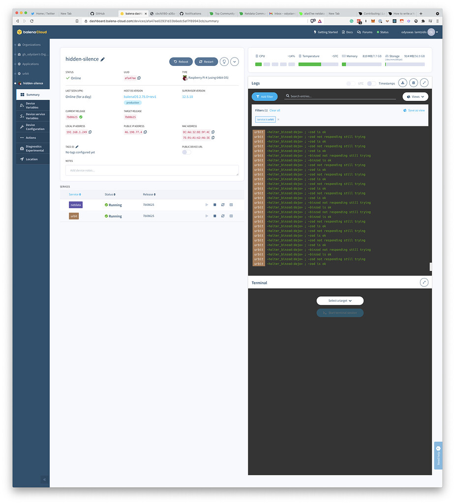 How to debug container name resolution for the Netdata Agent - General - Netdata Community Forums