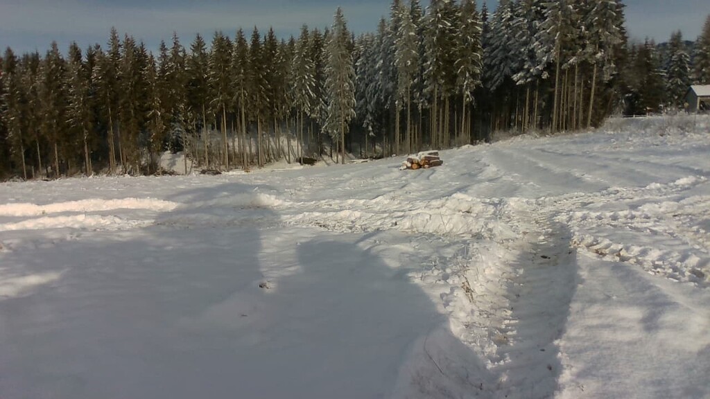 I need help to detect something specific - 🤝 Community Help - Roboflow