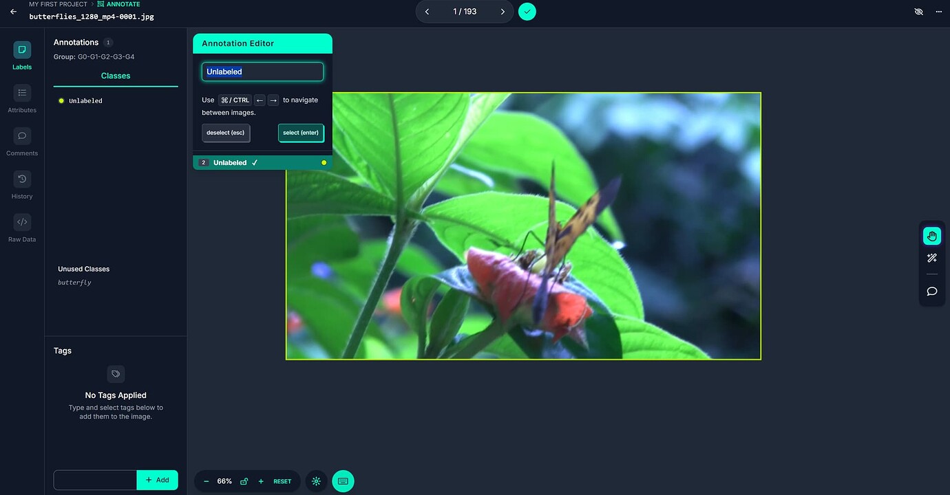 Unable to Annotate - 🤝 Community Help - Roboflow