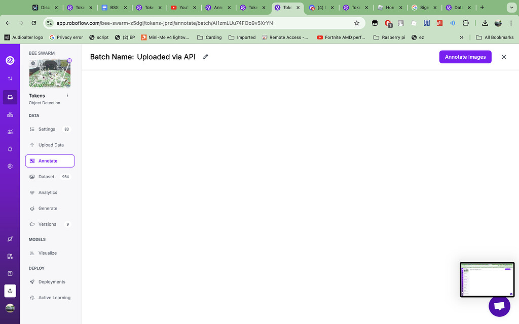 Images In Unassigned batch disappeared - 🤝 Community Help - Roboflow