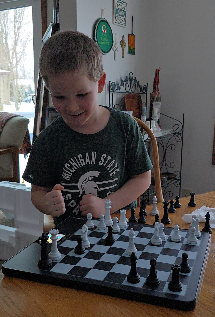 What level of assistance so you use? - General - ChessUp