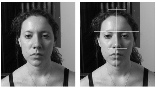 Portrait Notan Exercises - Artist & Educator Resources - Smartermarx