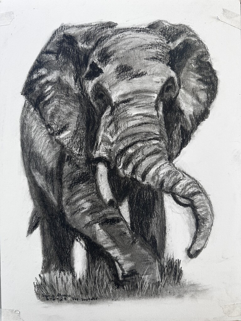 Elephant Drawing with Charcoal - 1 Hour Exercise - Share Your Art - The ...