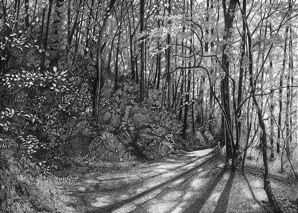 Expected tree pen drawings show - Share Your Art - The Artist's ...
