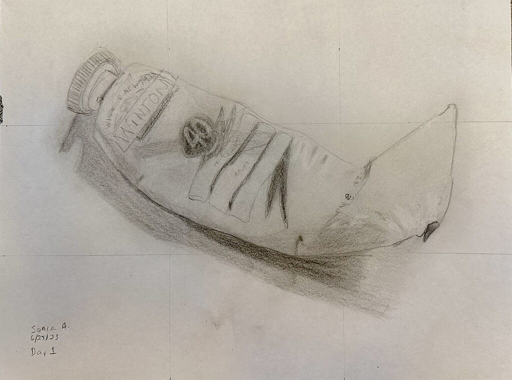 25 days to better drawing - my day one - Share Your Art - The Artist's ...