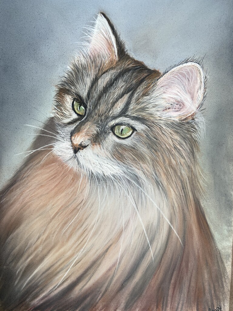 Animals in pastel - Share Your Art - The Artist's Community by The ...