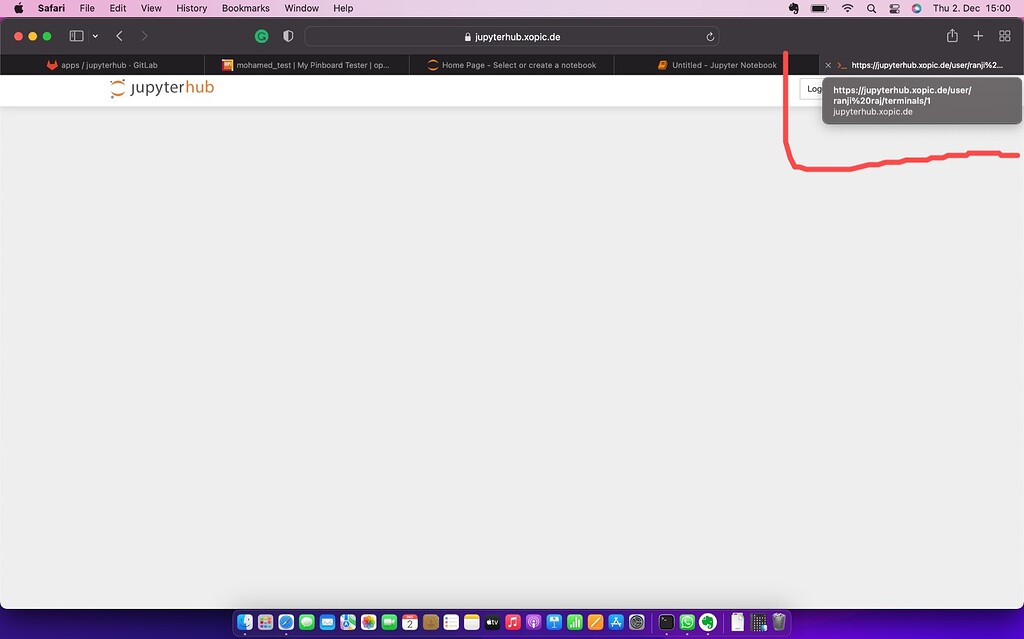 Dead kernel in Jupyter Notebook - JupyterHub - Jupyter Community Forum