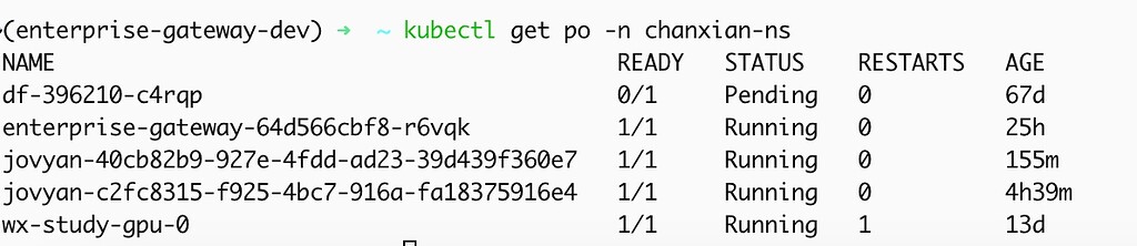How to make enterprise_gateway use an existing kernel pod? - Kernels - Jupyter Community Forum