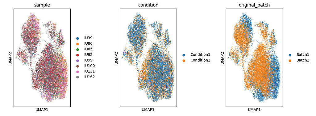 scVI integration using two batch keys - scvi-tools - scverse