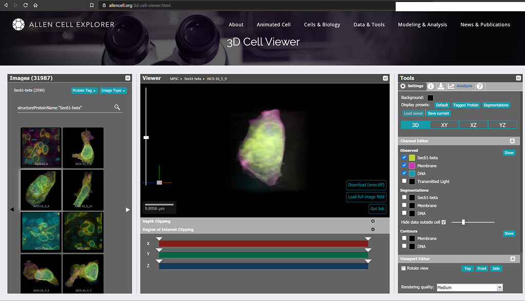 Inspiration for re-designing 3d-cell-viewer - Questions - three.js forum
