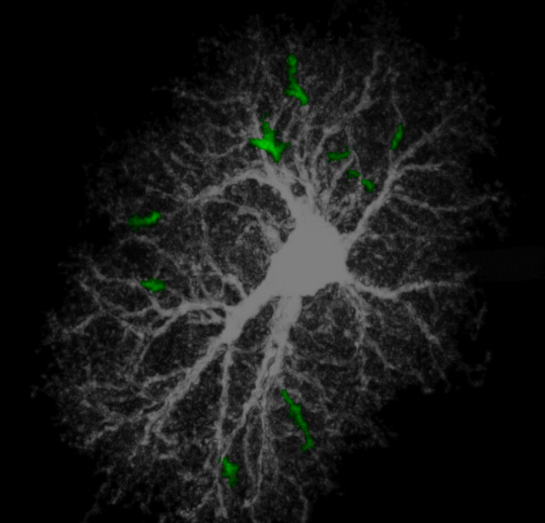 How to adjust colormap when using uniforms in Data3DTexture - Questions - three.js forum