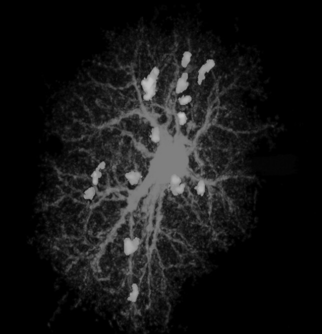 How to adjust colormap when using uniforms in Data3DTexture - Questions - three.js forum