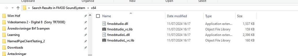 X64 version for Fmod api? - Other - FMOD Forums