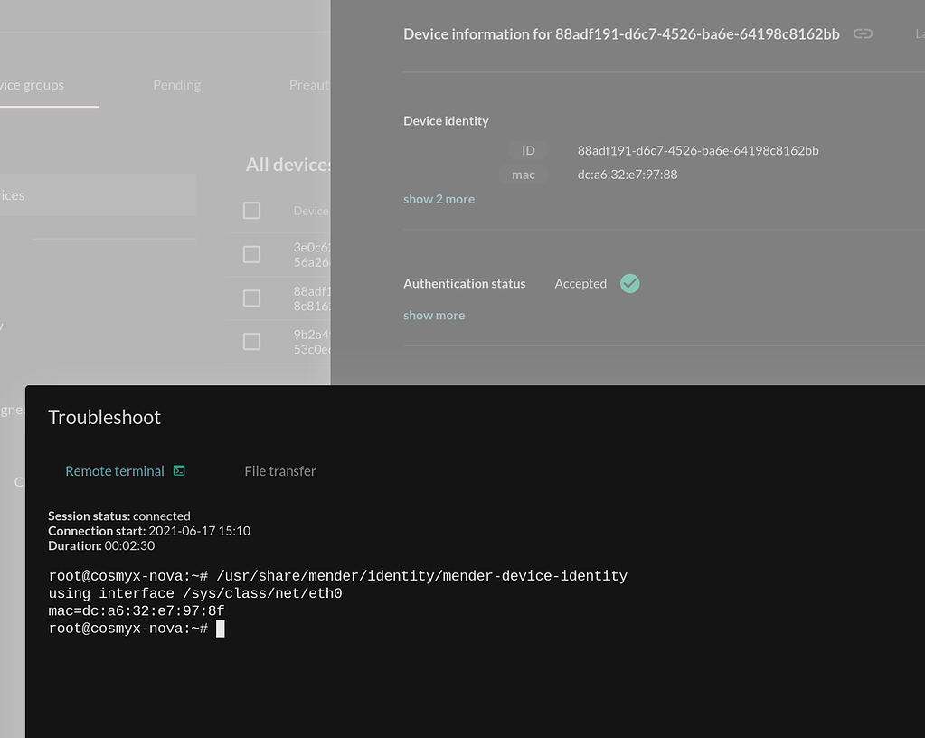 Mender device identity confusion - General Discussions - Mender Hub