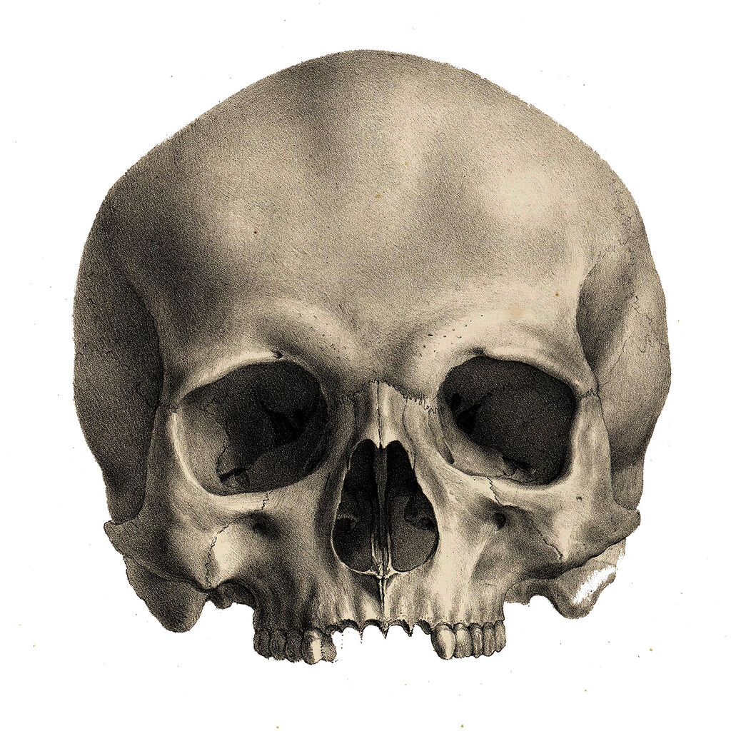 Make Z axis alternate between 'growing' and 'shrinking'...? - Coding Questions - Processing ...