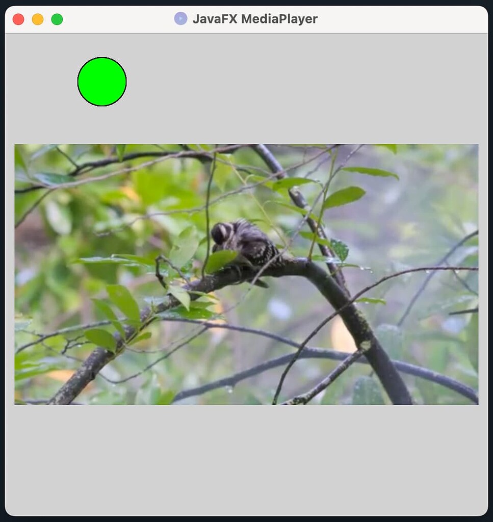JavaFX MediaPlayer in Default Window - Gallery - Processing Community Forum
